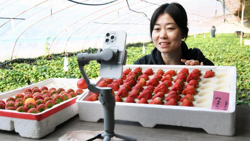 China bolsters online consumer protection with new regulations