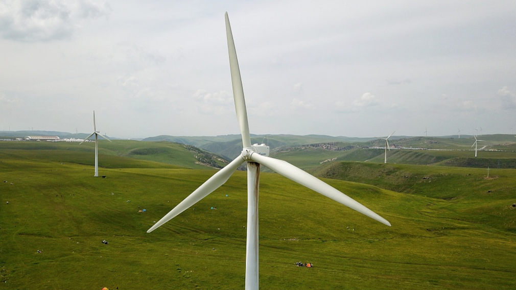 Integrated project crucial in green power leap