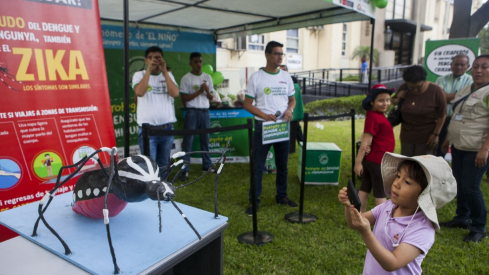 Peru's dengue deaths triple as climate change swells mosquito population