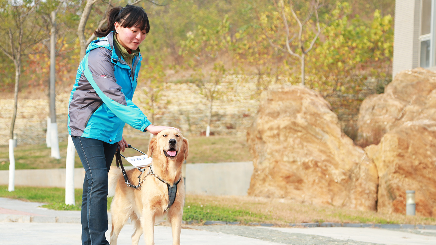 Paws for empowerment