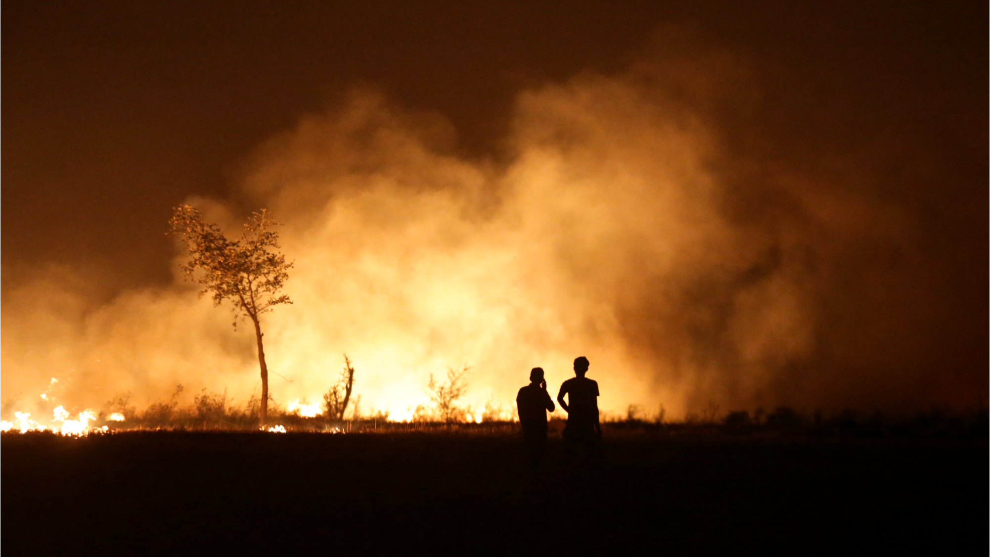 Forest fires raze parts of India amid heat, dry weather