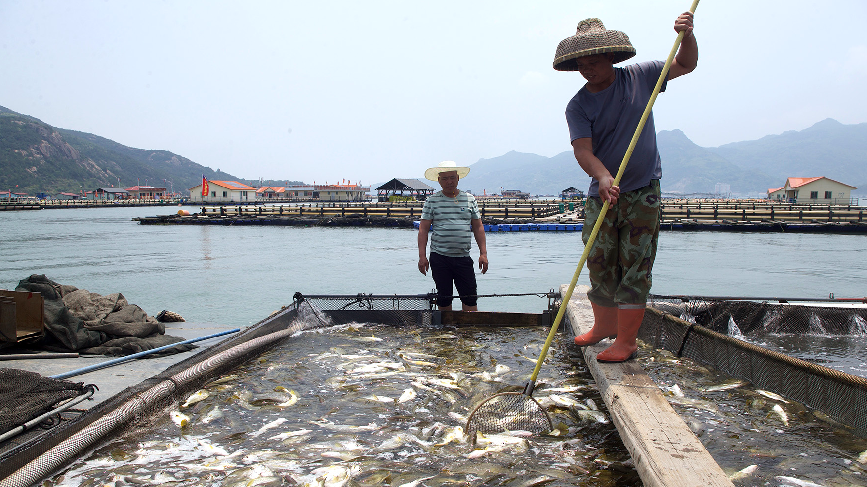 Fujian's innovations lead nation's quest for food security