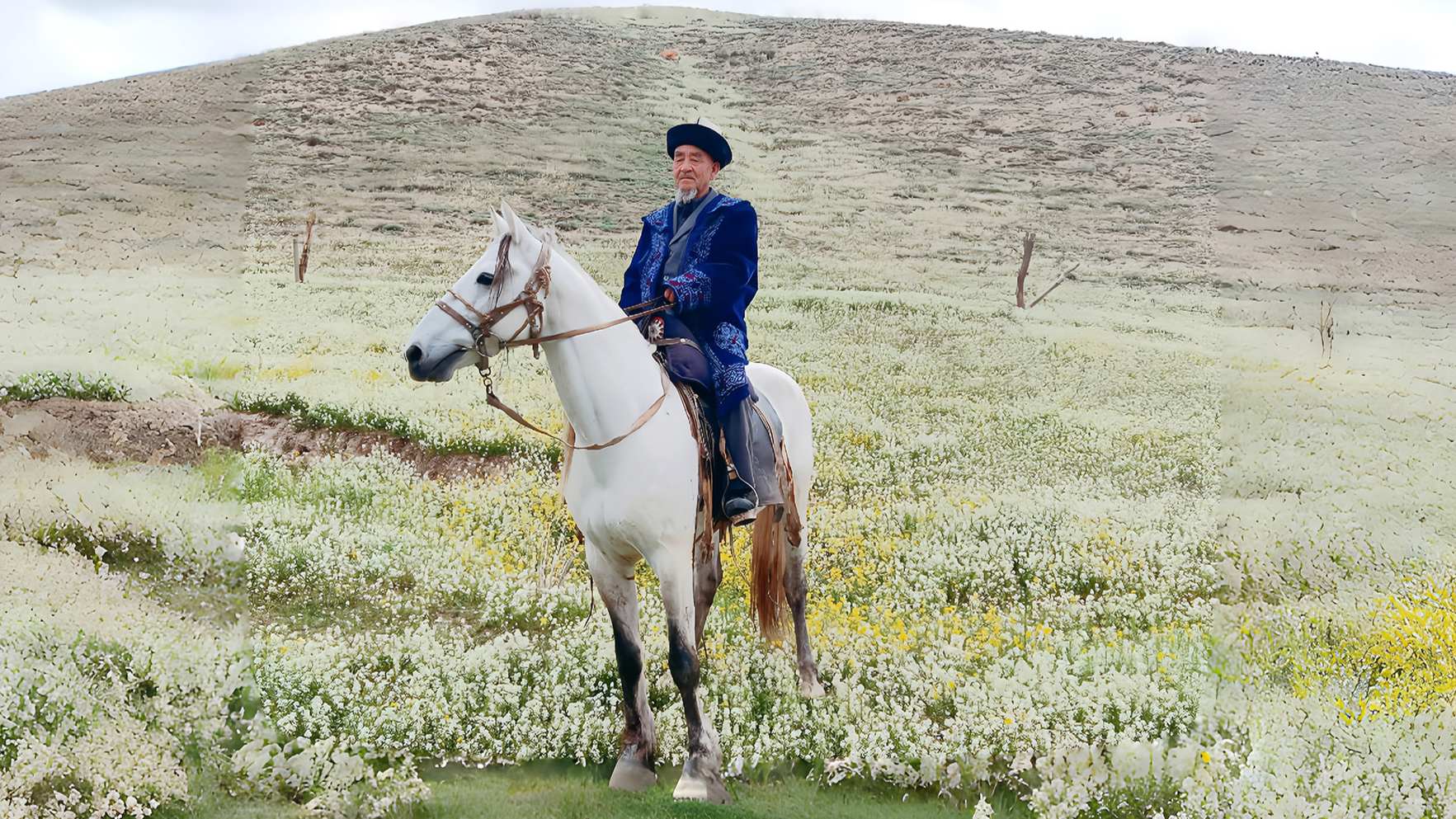 Elderly trainer espouses his equestrian affinity