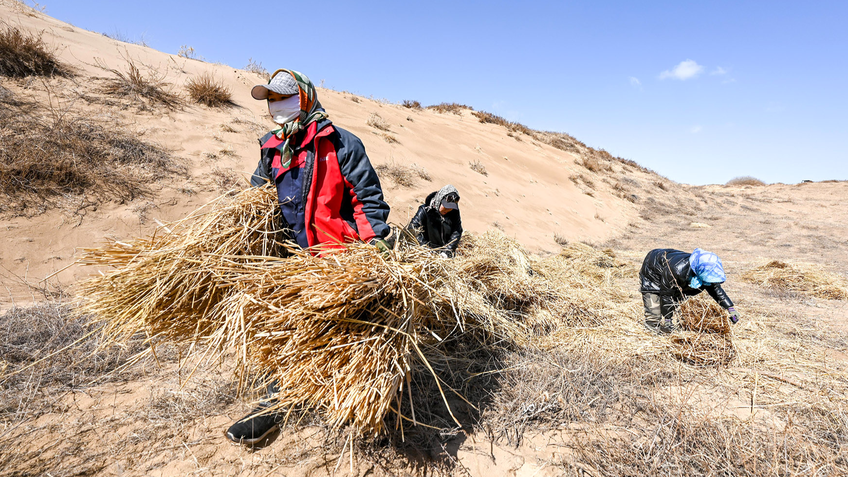 Desert restored via grassland protection