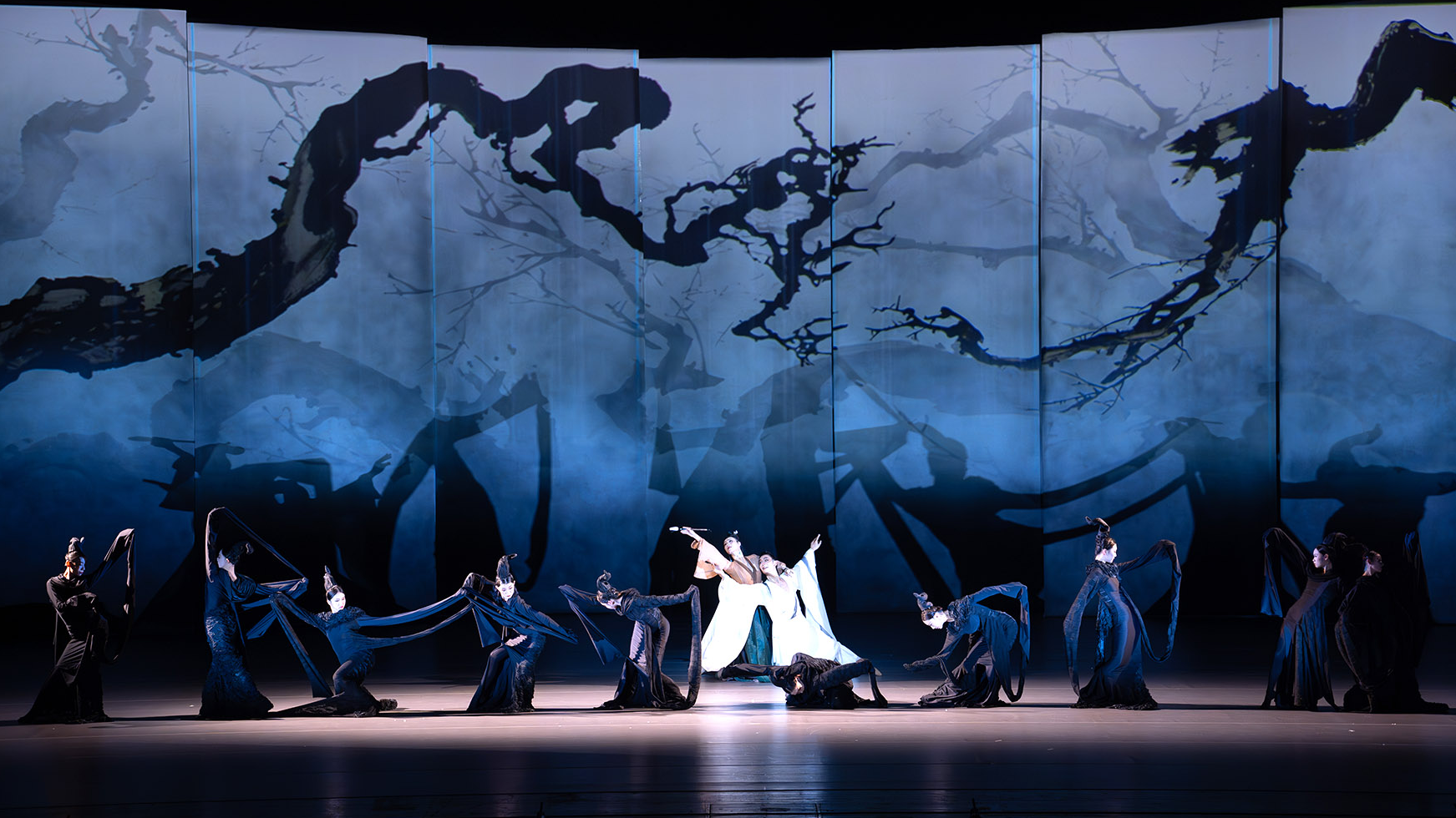 Dance shows poetry in motion