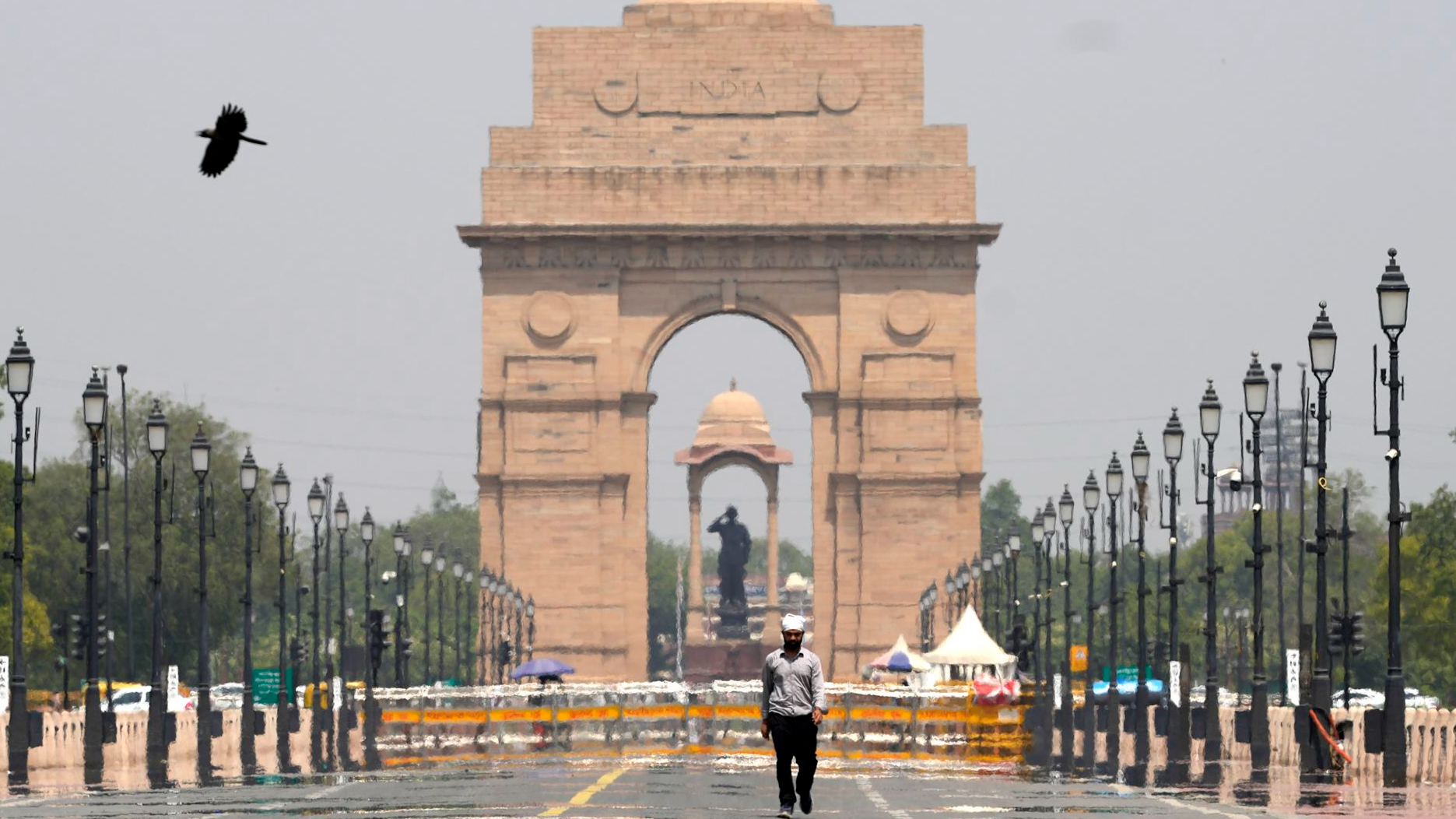 Animals collapse, water shortages bite amid India's searing heat