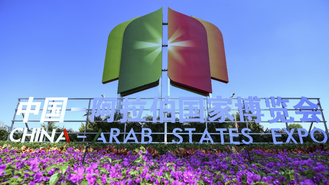 Potential of Sino-Arab economic cooperation highlighted