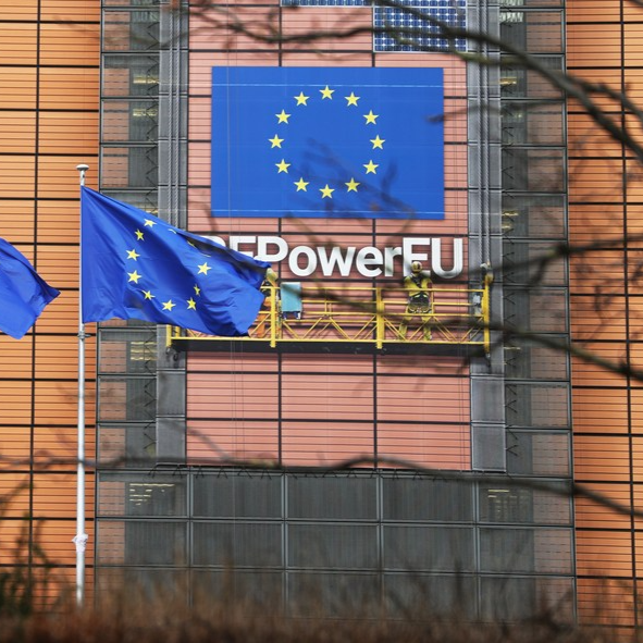 EU's protectionist moves compliance with decoupling design of Washington