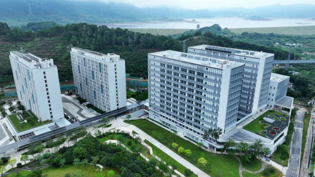 Technology university established in Shenzhen