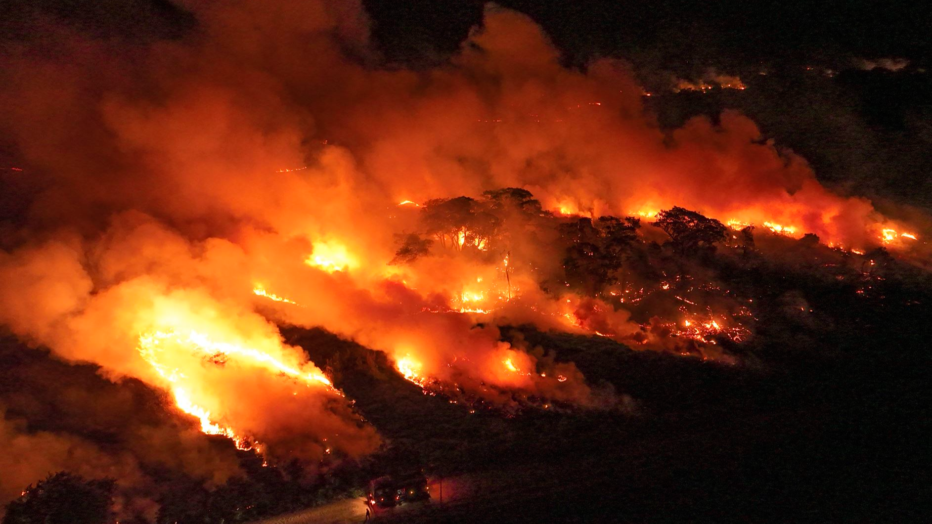 Fires in Brazil wetlands surge to record start in 2024