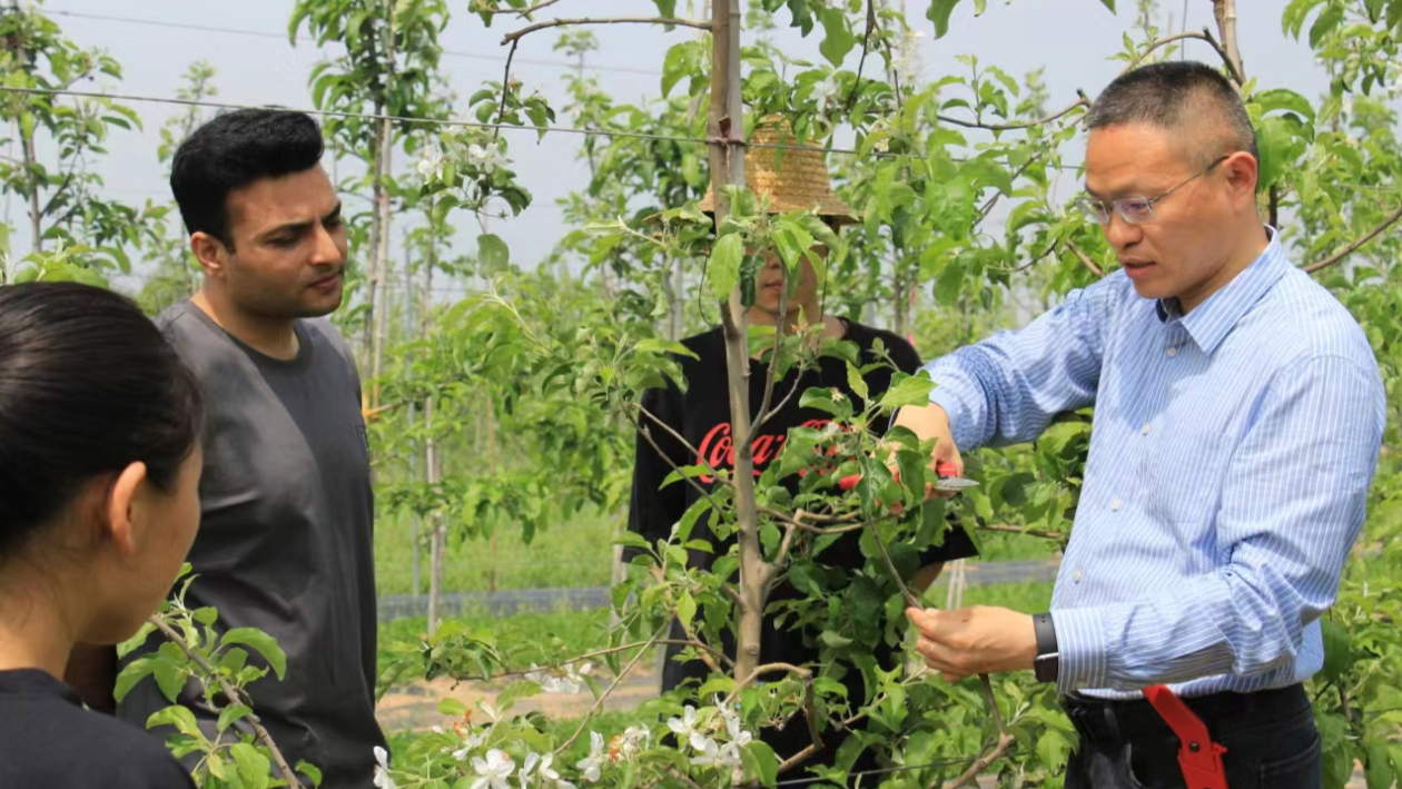 Key Yangling base driving agricultural collaboration