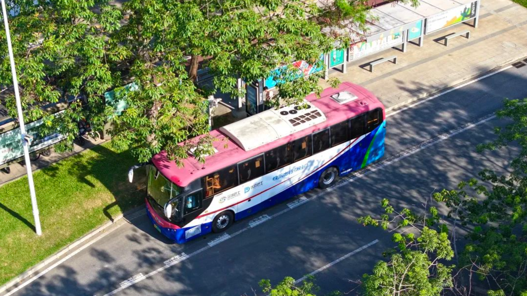 Cross-city holiday express bus line launched between Songshan Lake ...