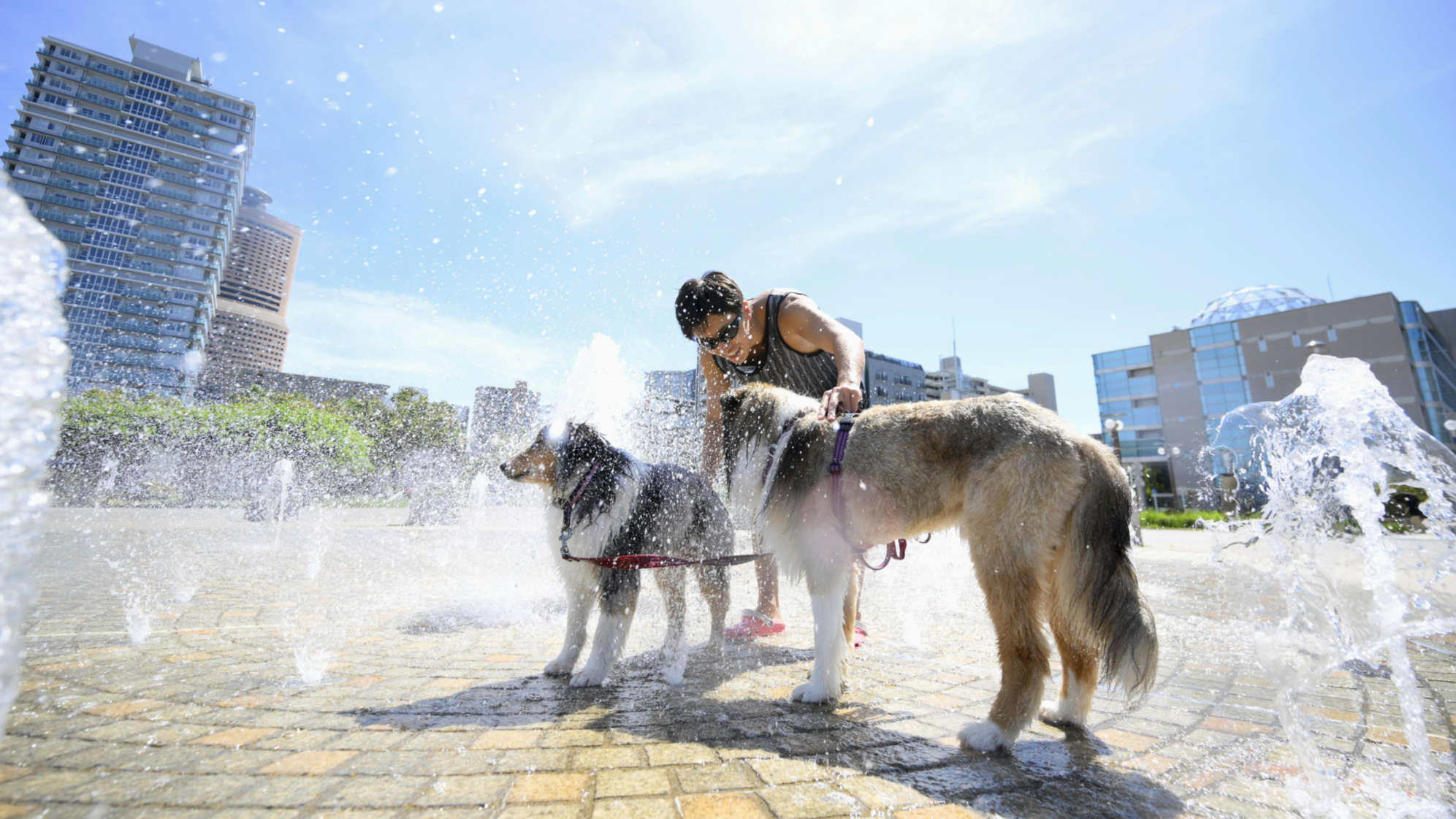 Japan continues to swelter amid soaring temperatures, heatstroke alerts