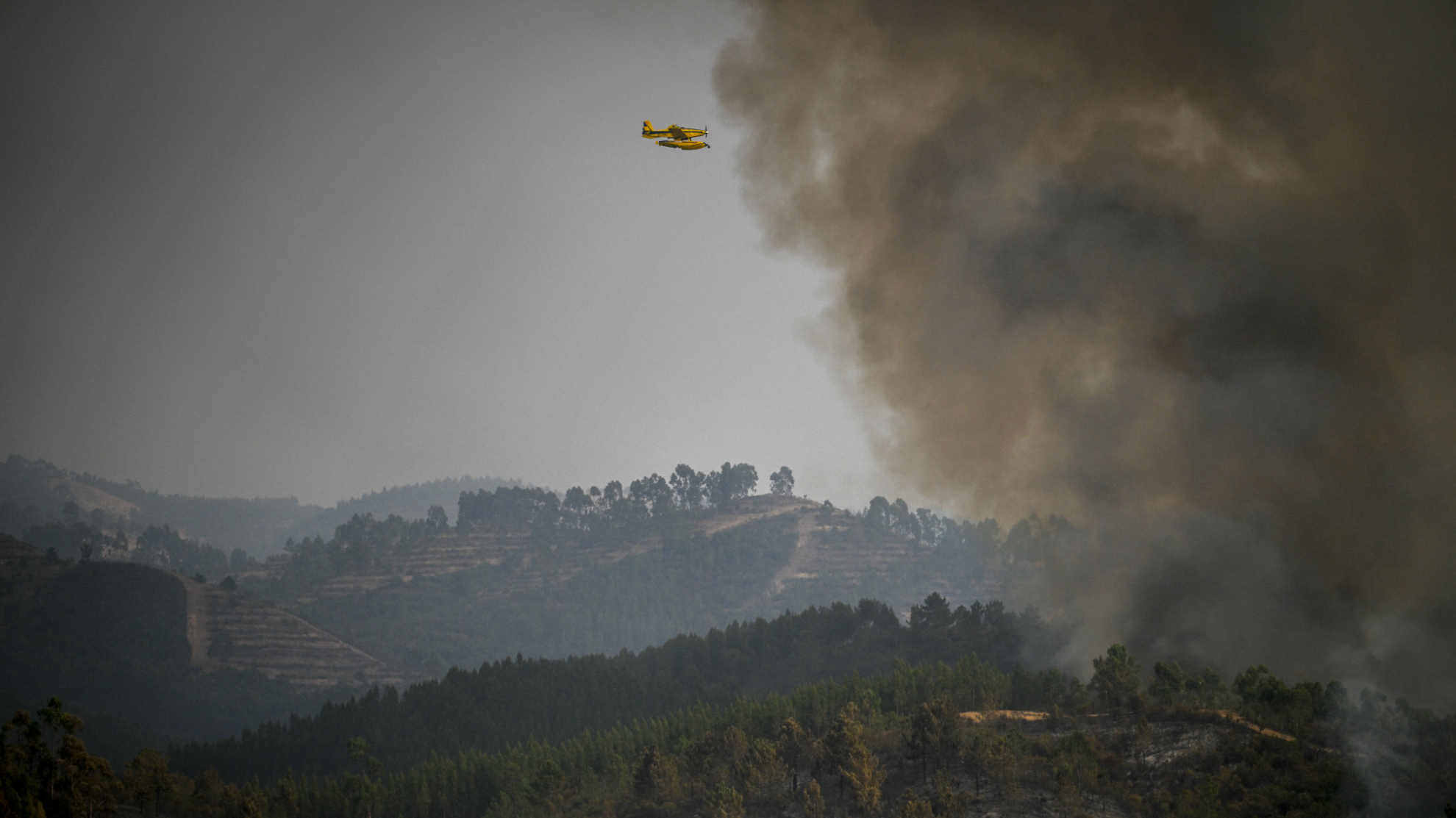 Hundreds of firefighters battle Madeira wildfire