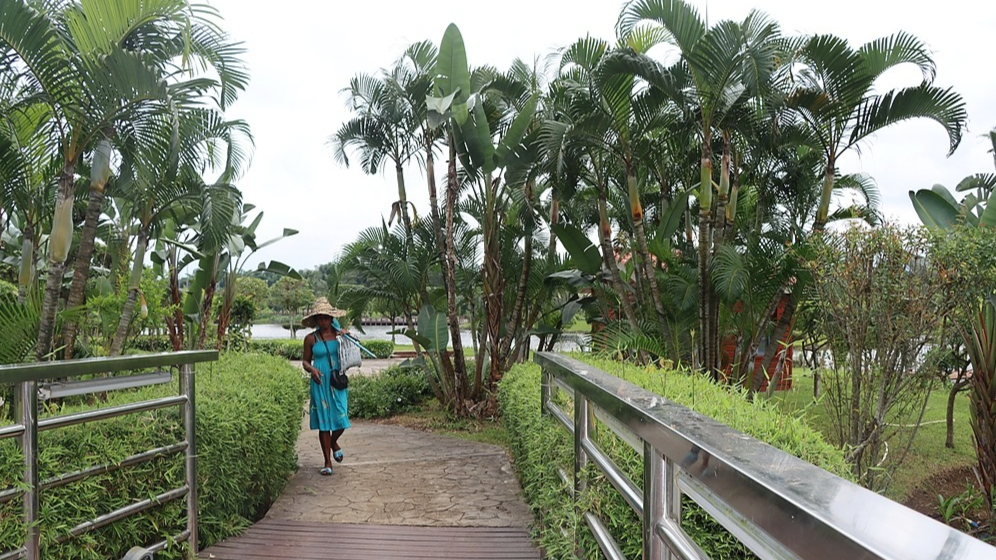 Green collaboration promises brighter future