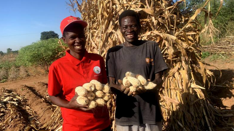 Harvesting knowledge