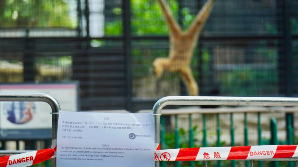 New monkey death takes HK zoo toll to 10 amid melioidosis infections