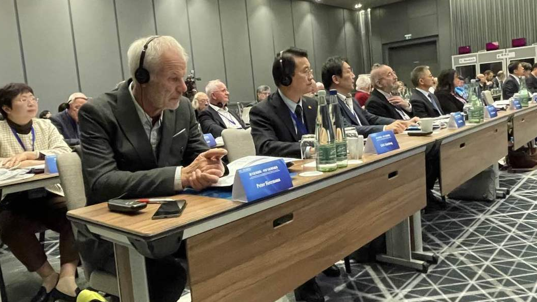 Role of BRI in human rights progress hailed