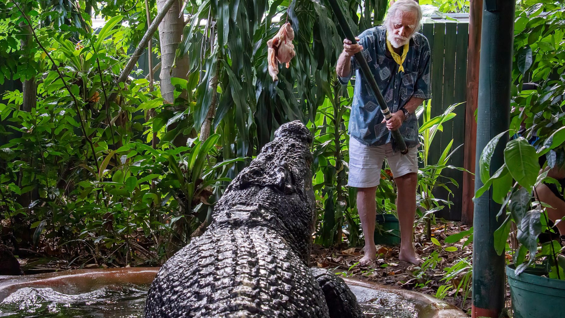 World's largest captive crocodile Cassius dies in Australia