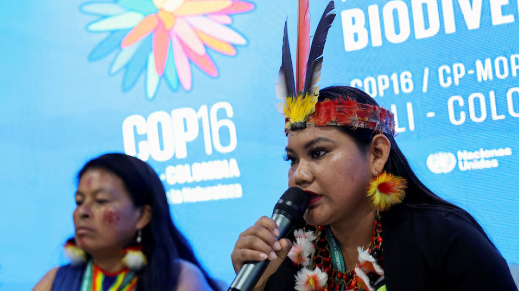 COP16 nature summit creates permanent body for Indigenous peoples