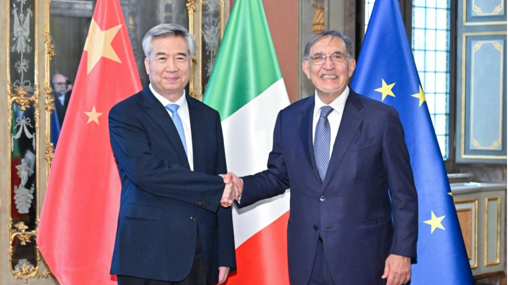 Senior Chinese official vows to further ties with Italy