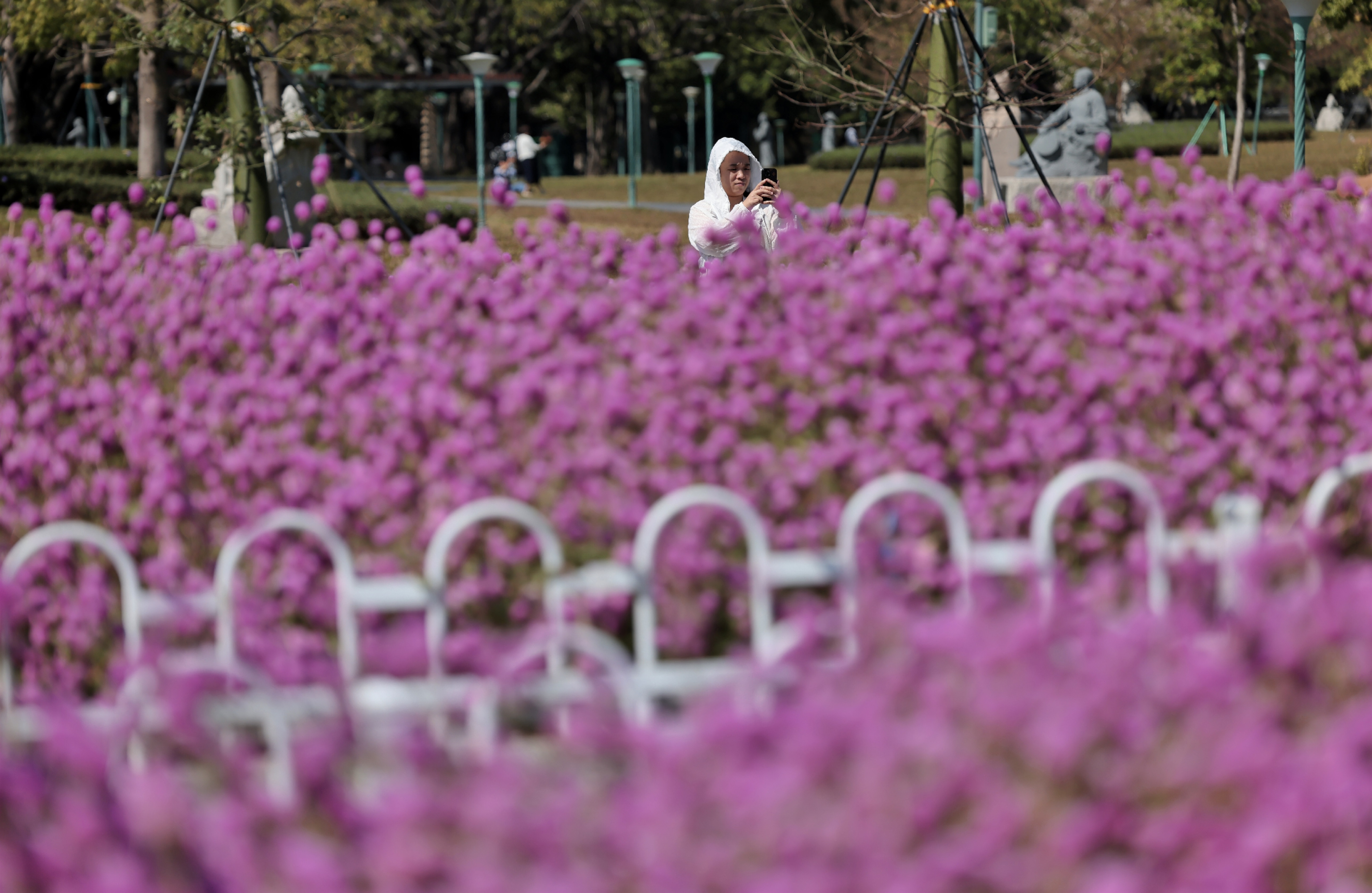 A purple oasis