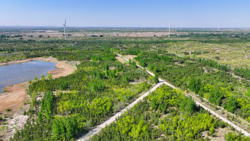 Saudi official commends Beijing's green efforts