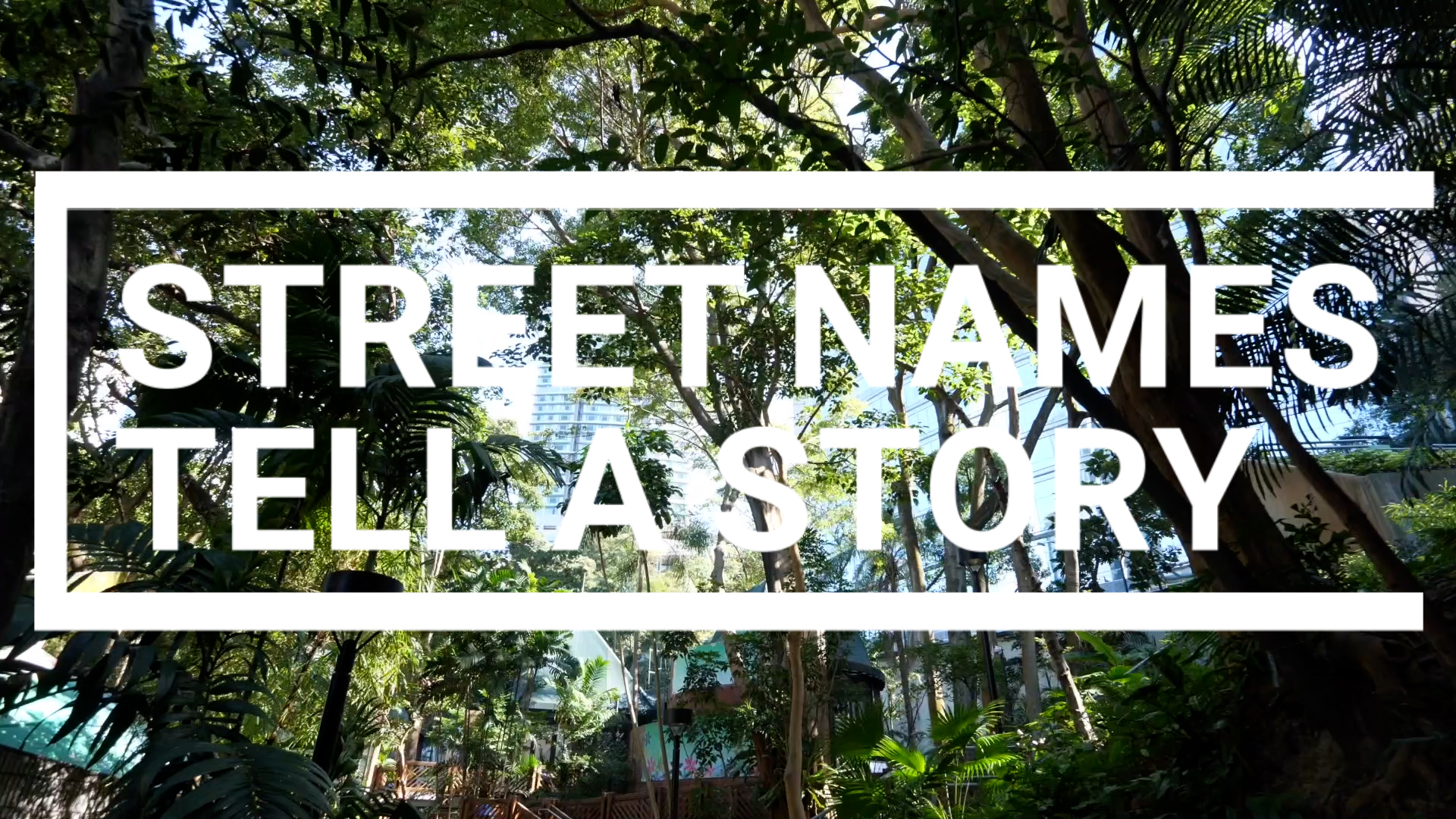 Street names tell a story