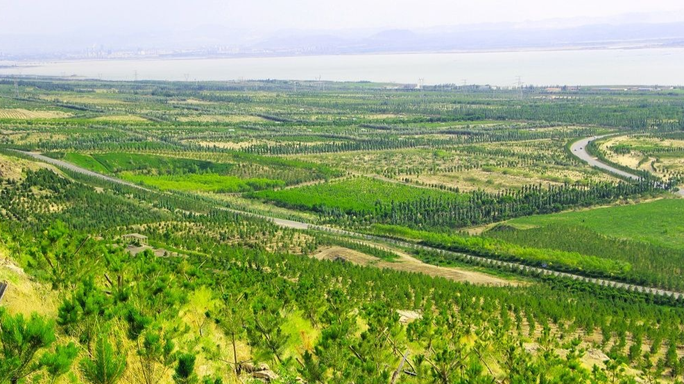 Chinese solution on land degradation wins applause