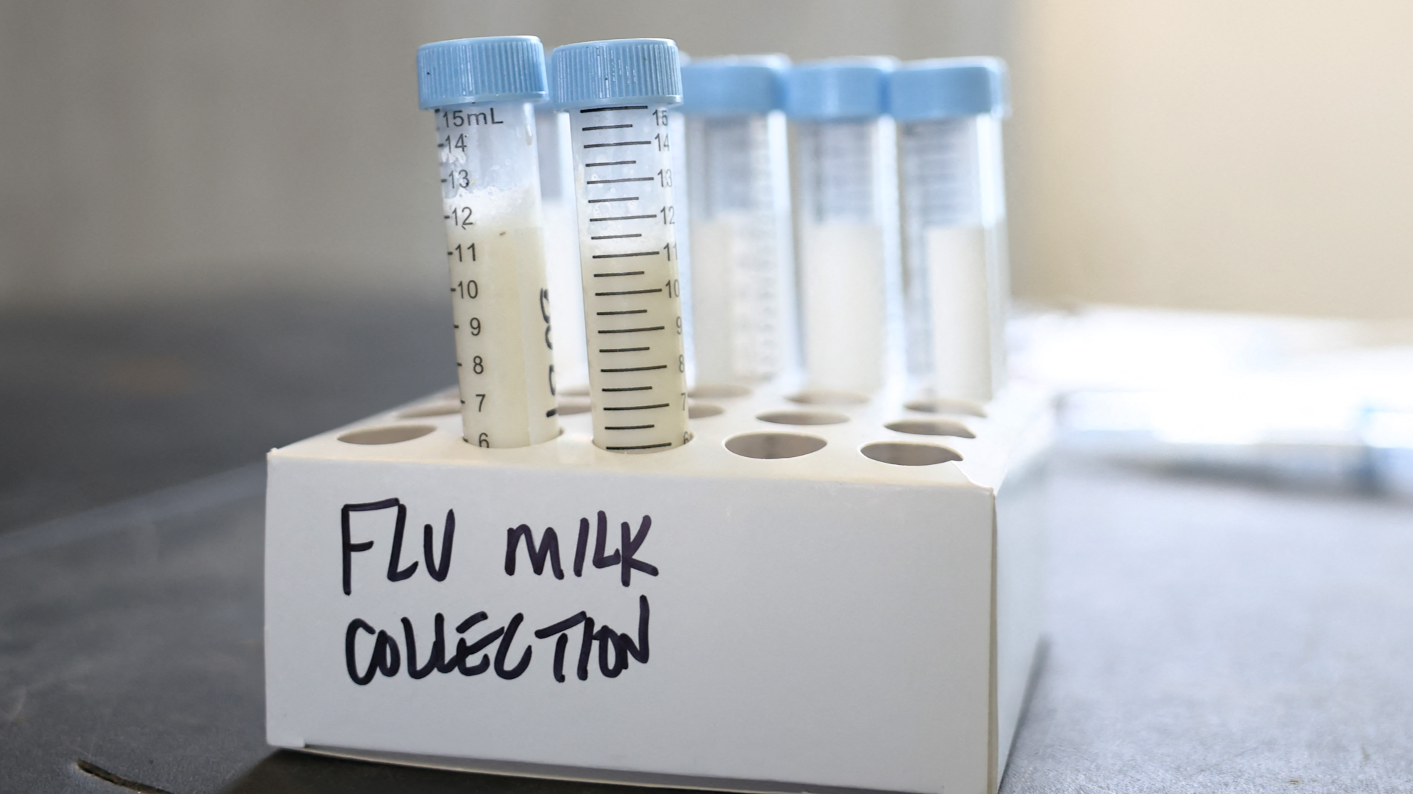 Bird flu virus shows mutations in first severe human case in US, CDC says