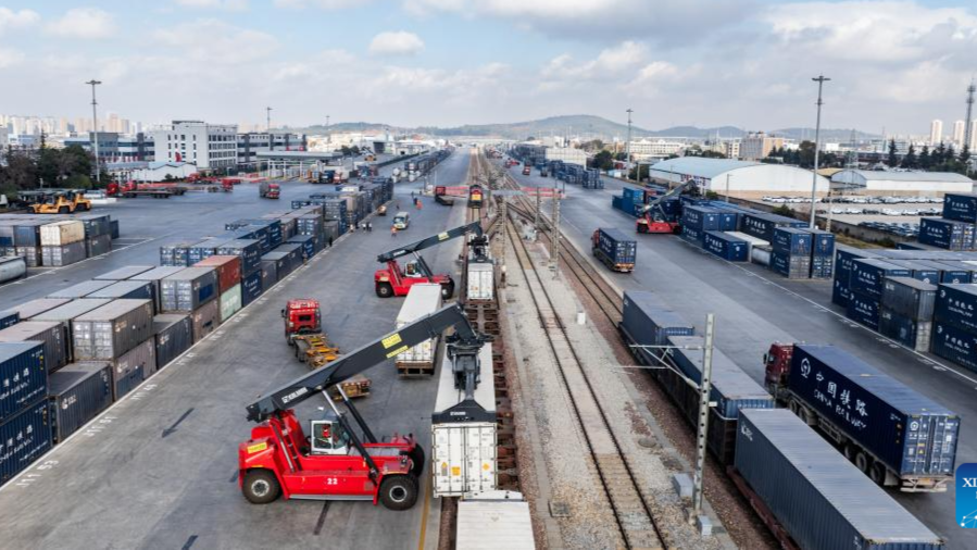 China's 2024 trade with BRI countries surges, says Commerce Ministry