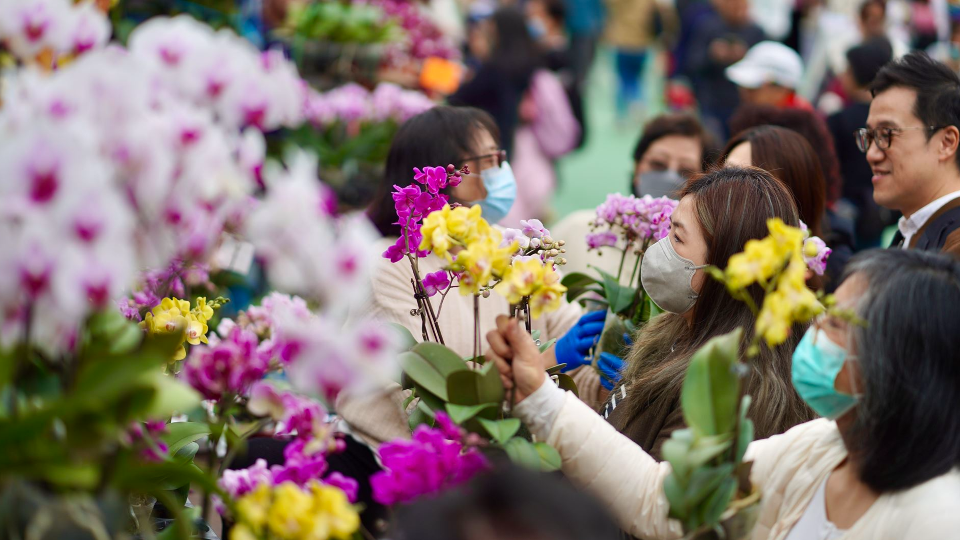 Flower markets in bloom