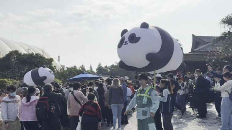 Panda twins' public debut