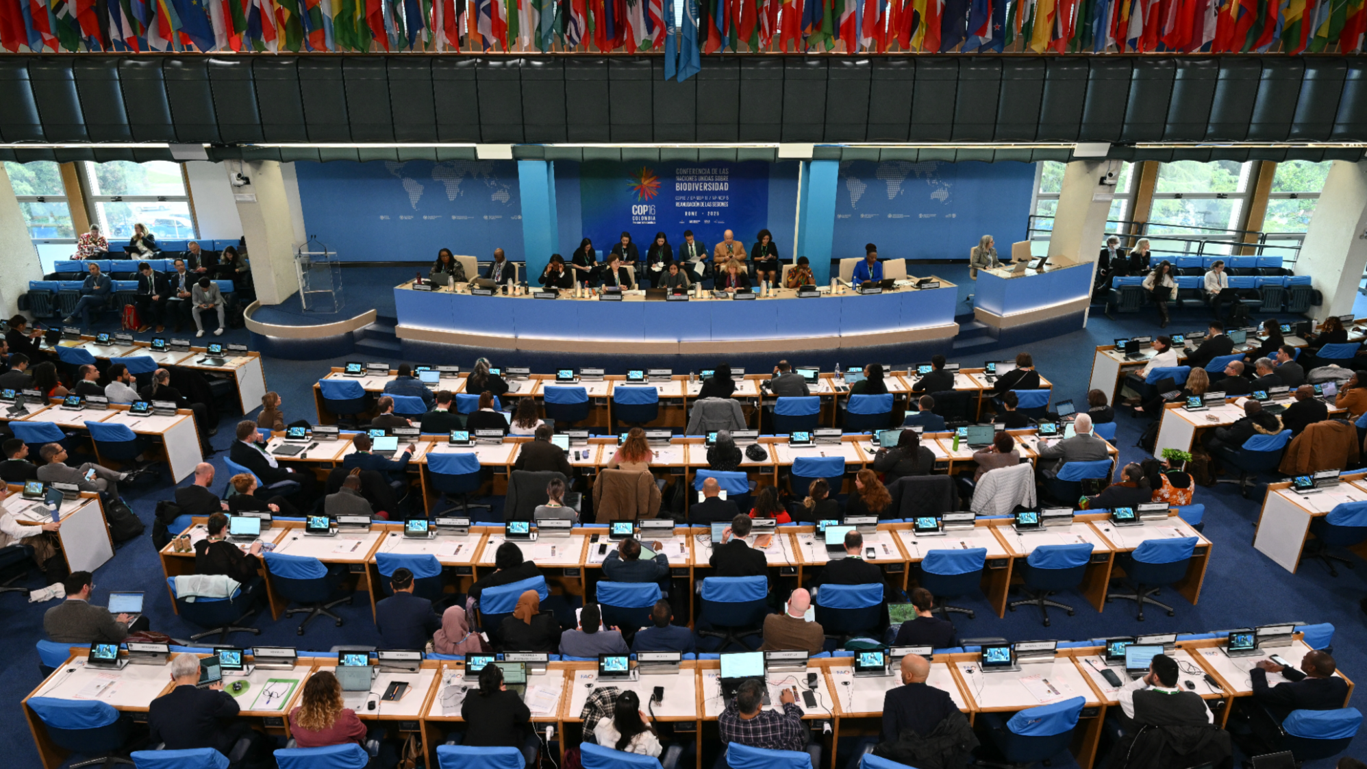 COP 16 resumed sessions conclude with major finance plan for biodiversity