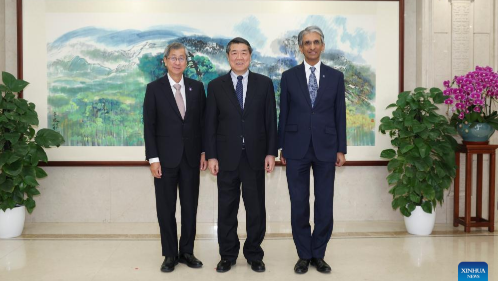 Chinese vice-premier meets with chairman of Temasek Holdings