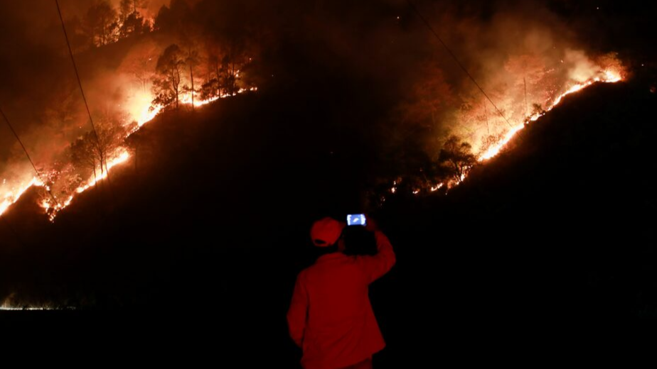 Tourism and biodiversity at risk as raging wildfires devastate forests ...