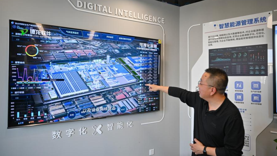 China unveils 2025 plan to boost digital literacy, skills