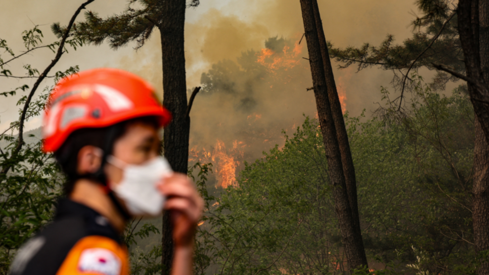 Wildfire: South Korean city orders more than 1,200 residents to evacuate