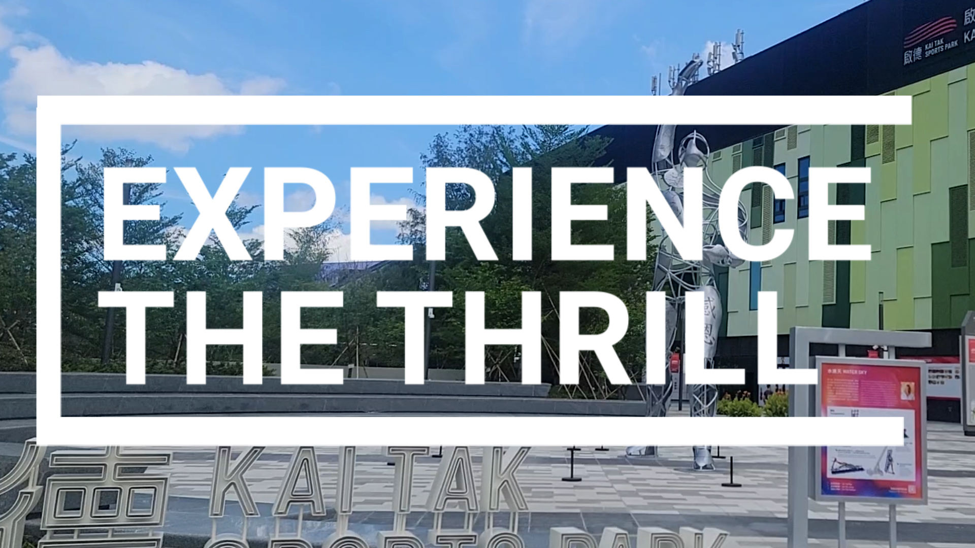 Experience the thrill