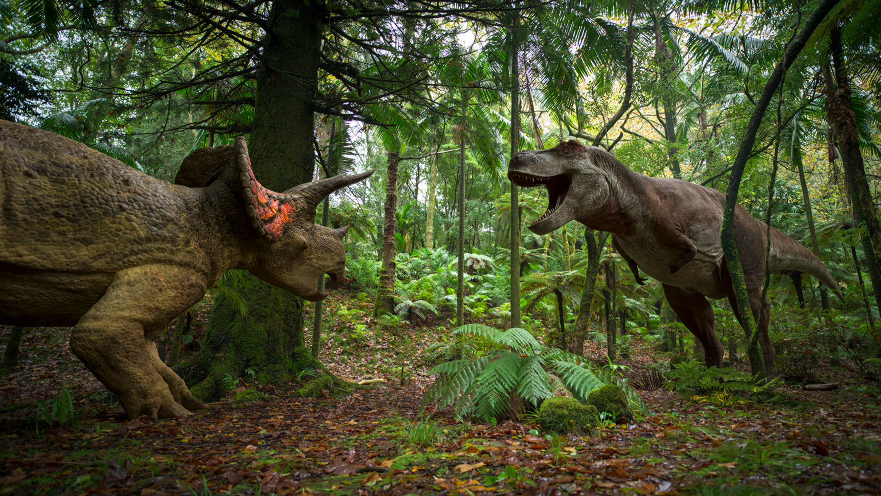 Back with dinosaurs