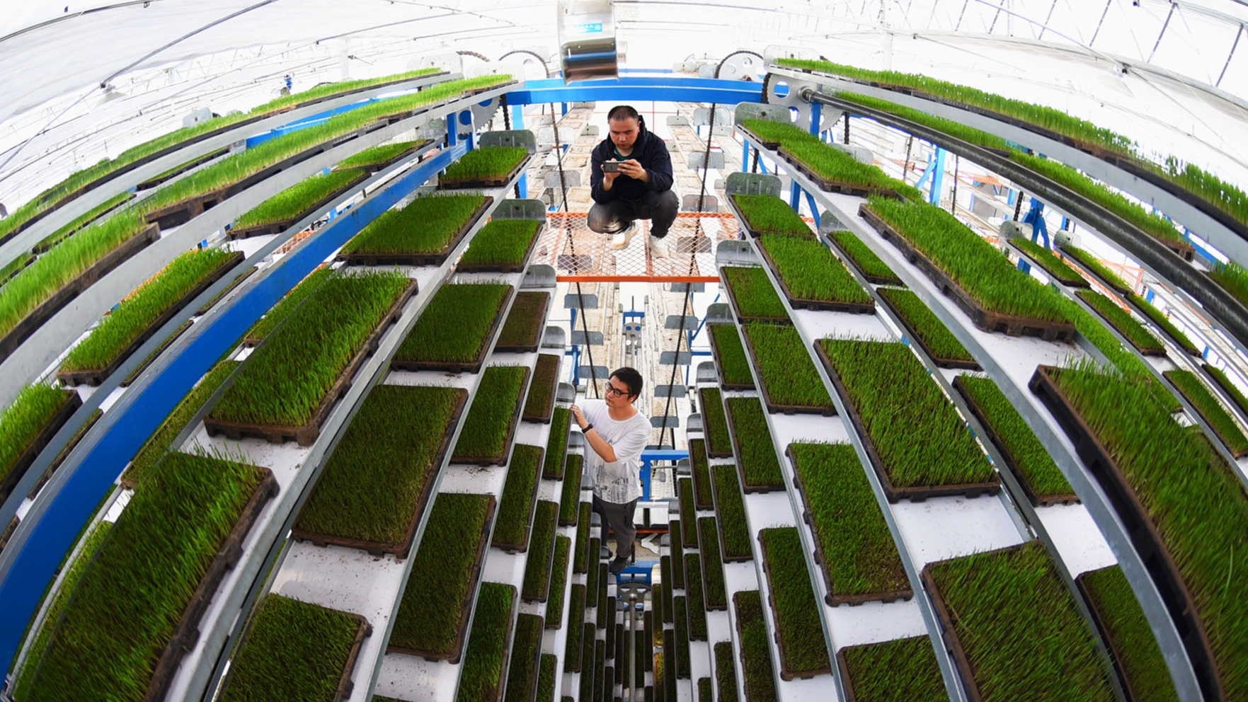 5G-A bridge to new telecom, industry era