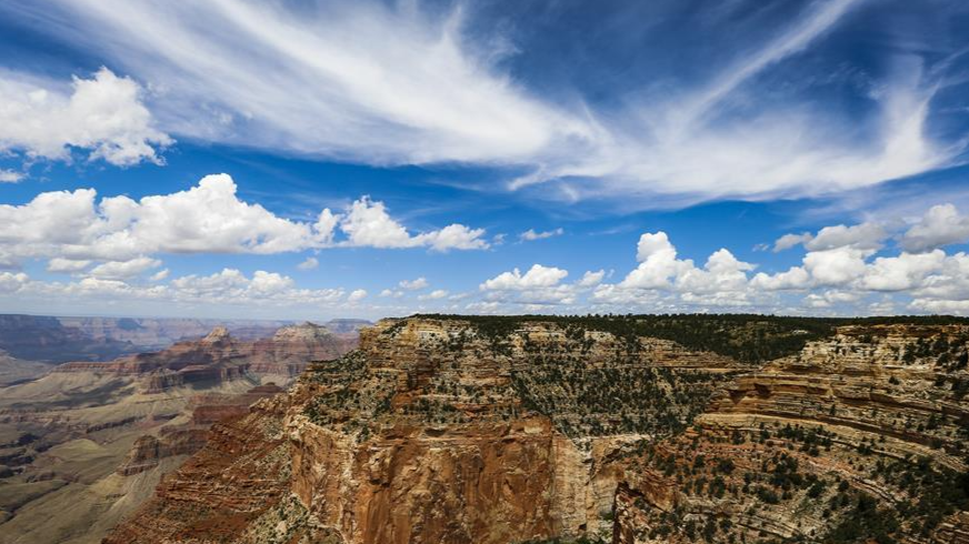 Arizona fossils reveal an ecosystem in flux early in the age of dinosaurs