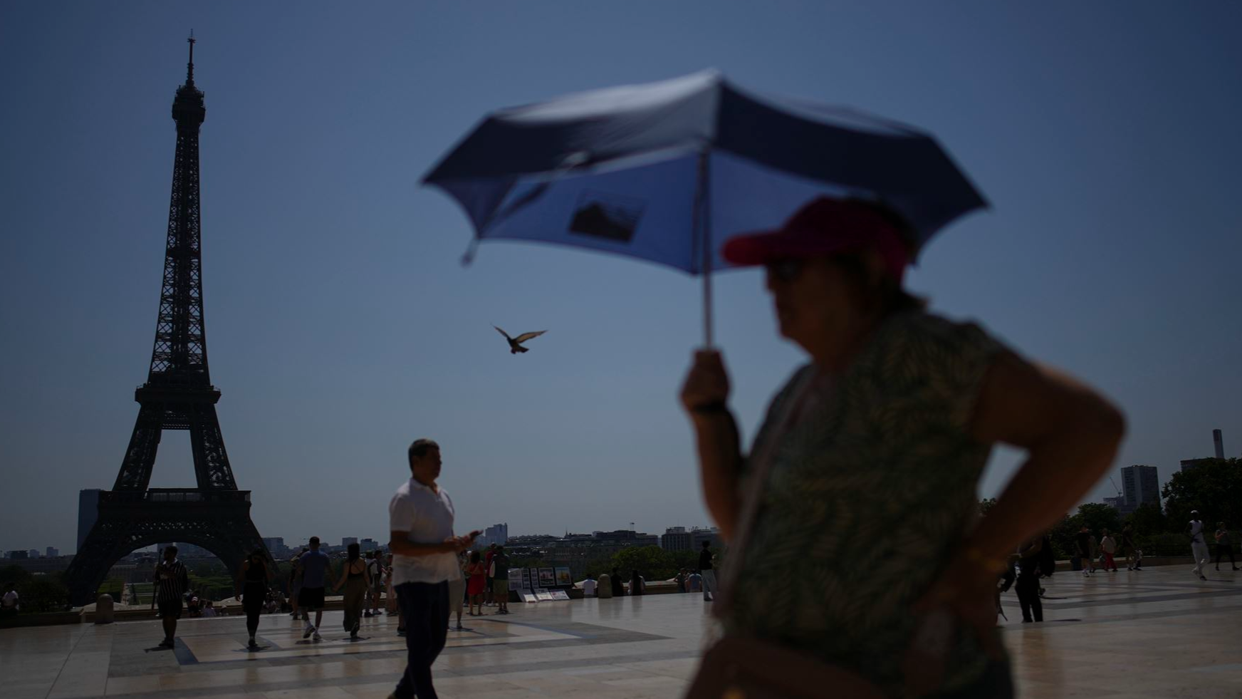 Extreme heat waves spark climate emergencies worldwide
