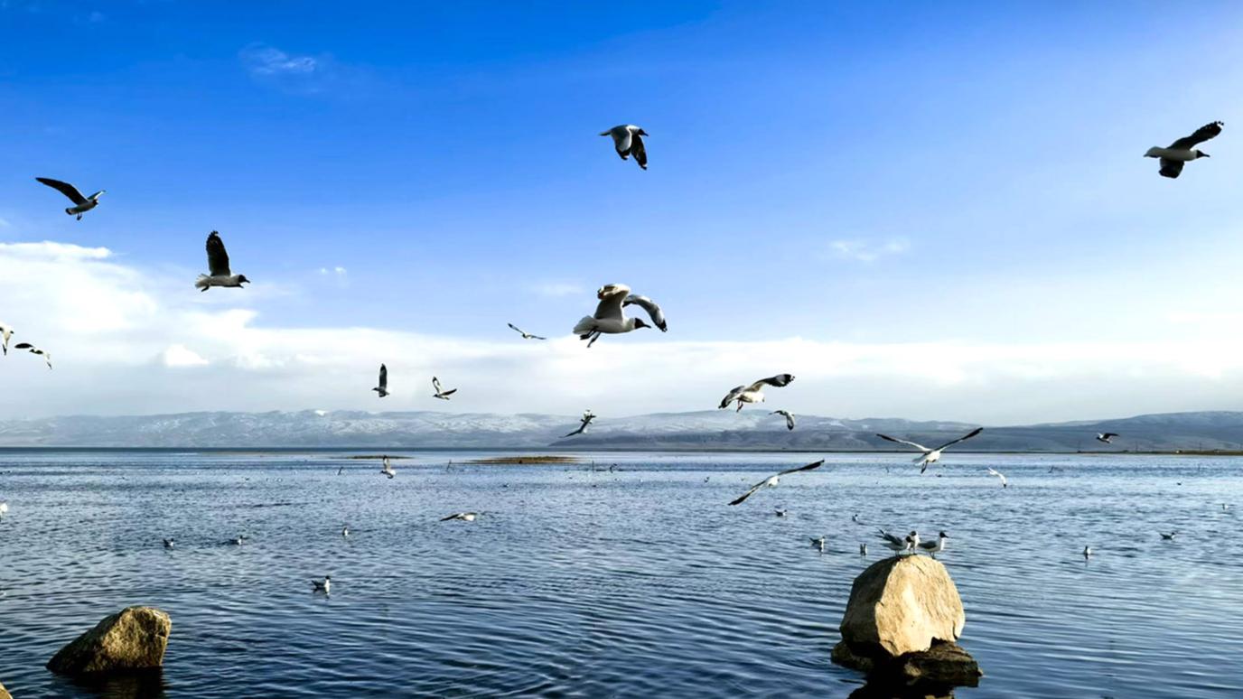 Conservation lifts delicate ecosystem