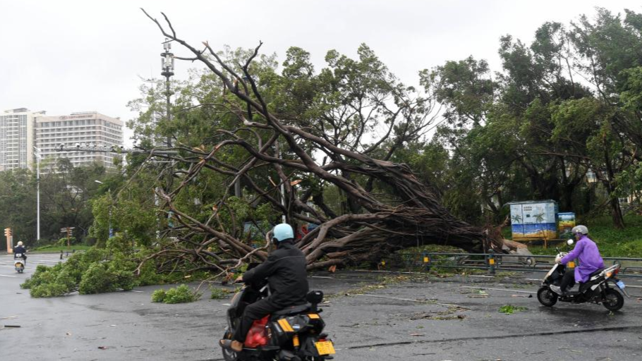Typhoon Kajiki brushes past south China island province, over 100,000 ...