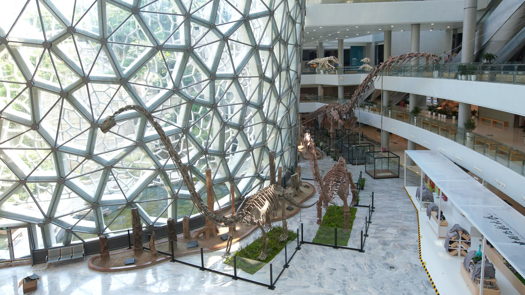 Down to the bones of the matter