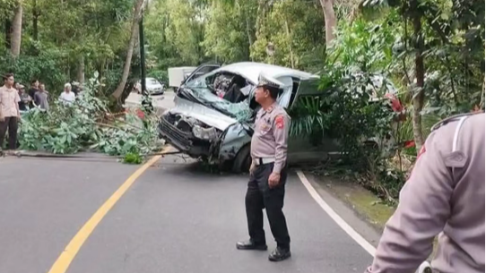 Five Chinese nationals killed, eight injured in traffic accident in ...