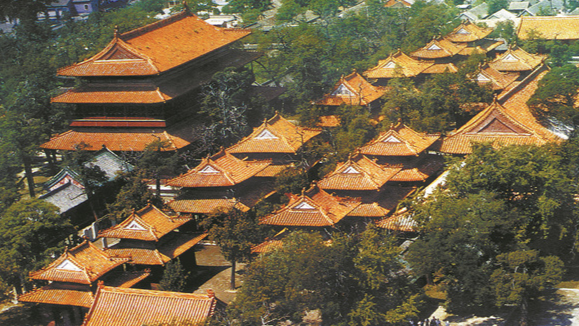 Protecting the living monuments